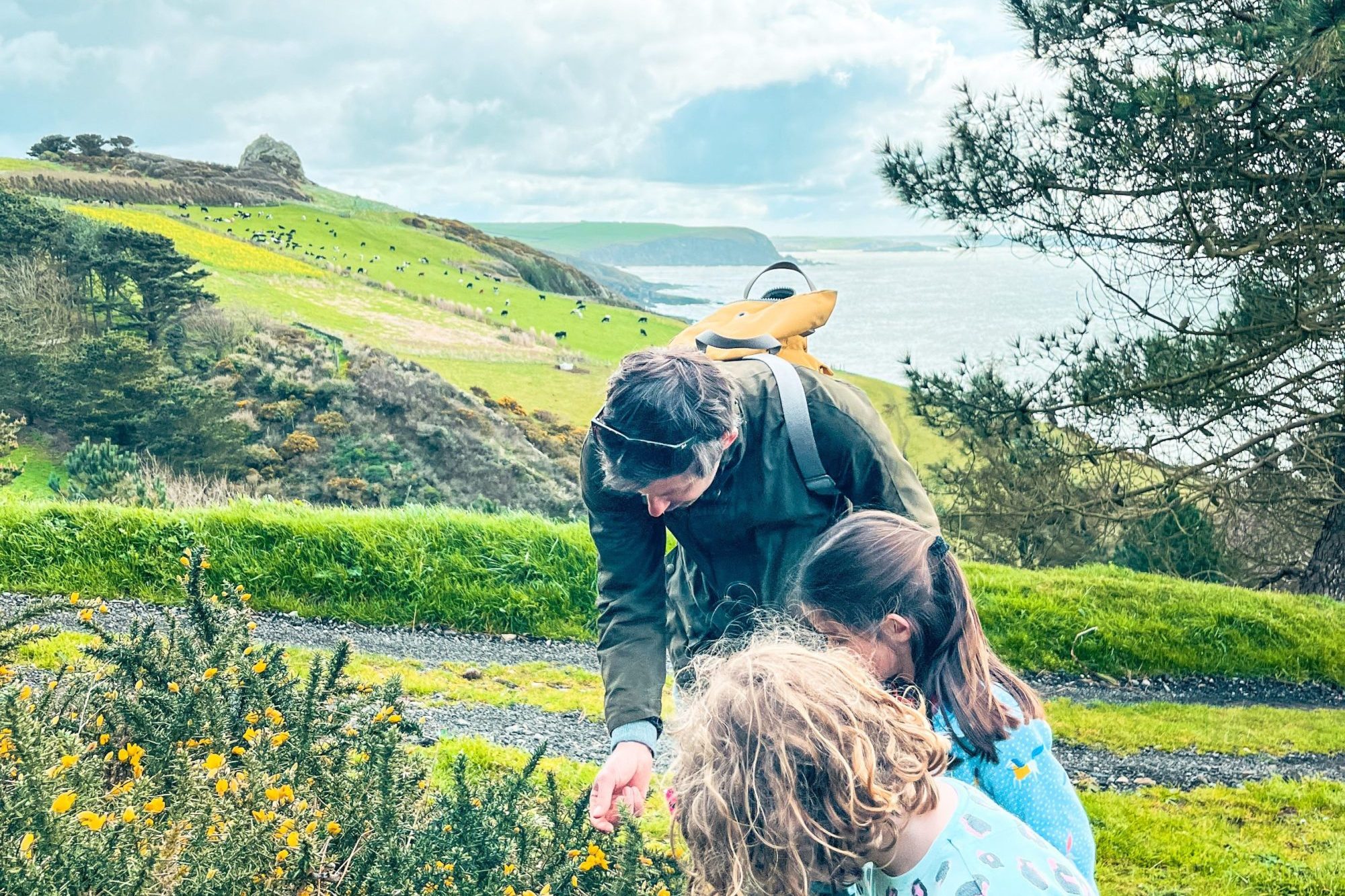 Things to do in Holbeton - Finest Stays